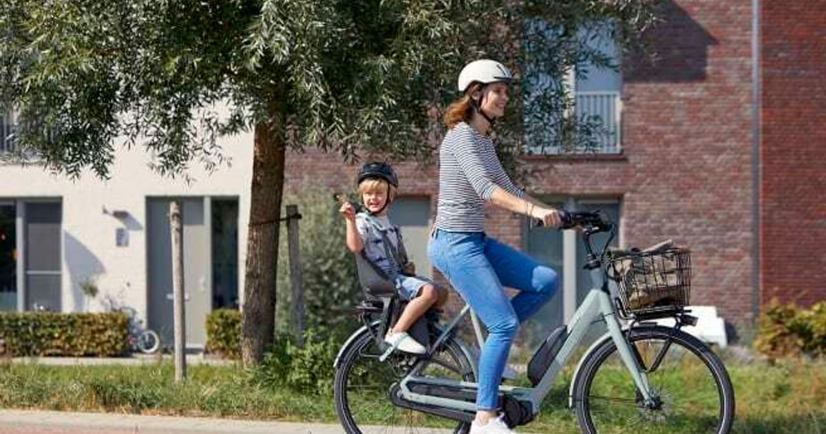 Elektrische moederfiets kopen? | Leenders Fietsen